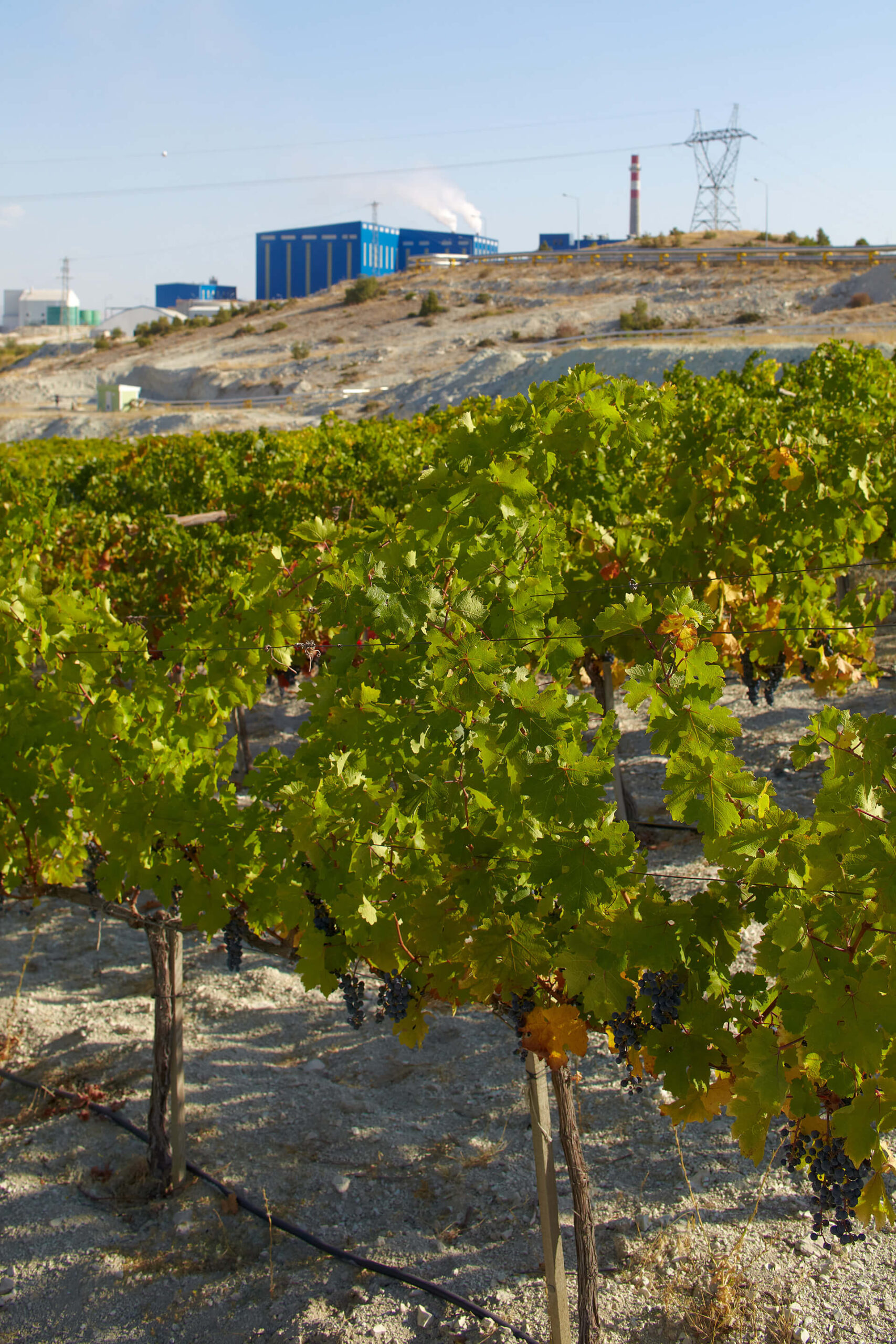 Hakkımızda - Eti Soda